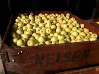 The Nelsons & Aurora Apples - Blush Lane